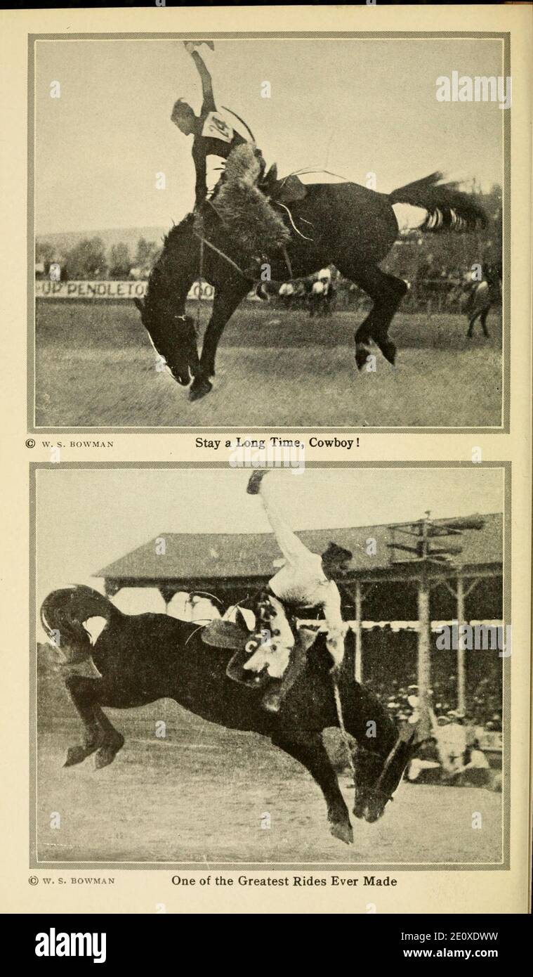 Let 'er buck Stock Photo - Alamy