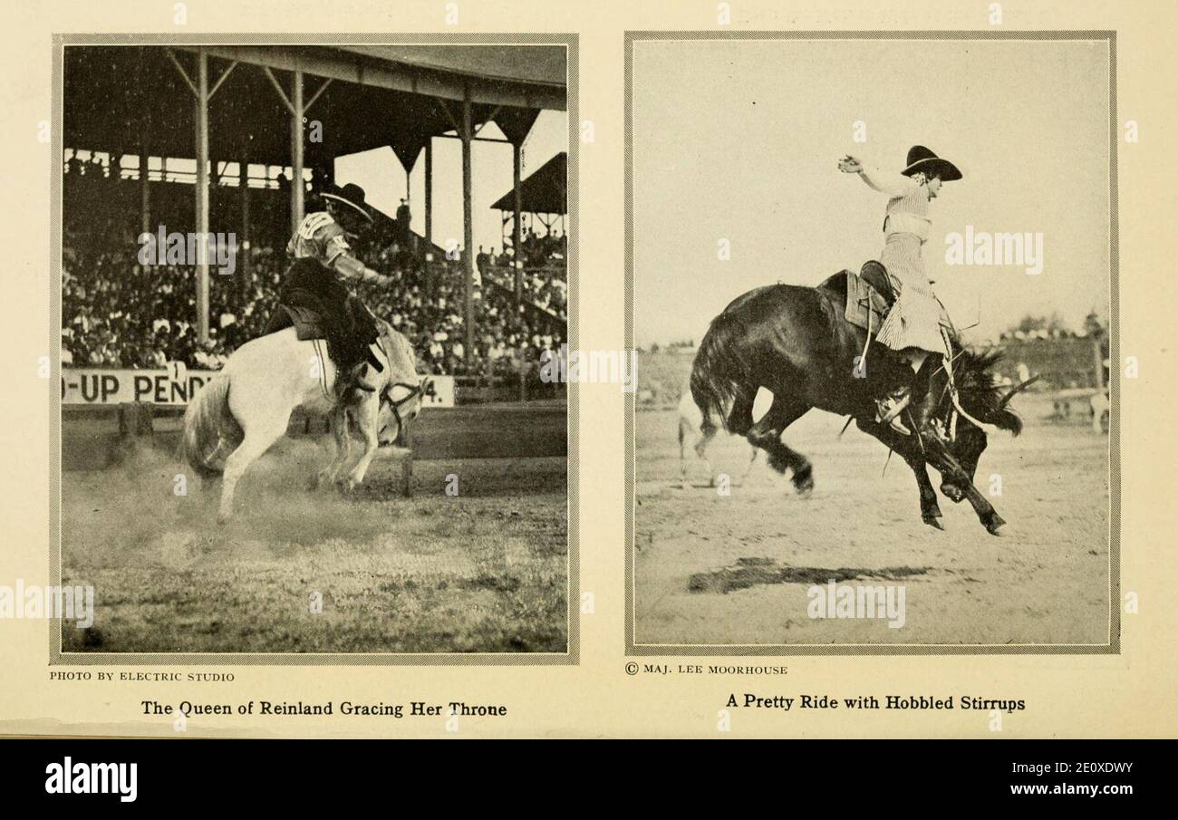 Let 'er buck Stock Photo - Alamy