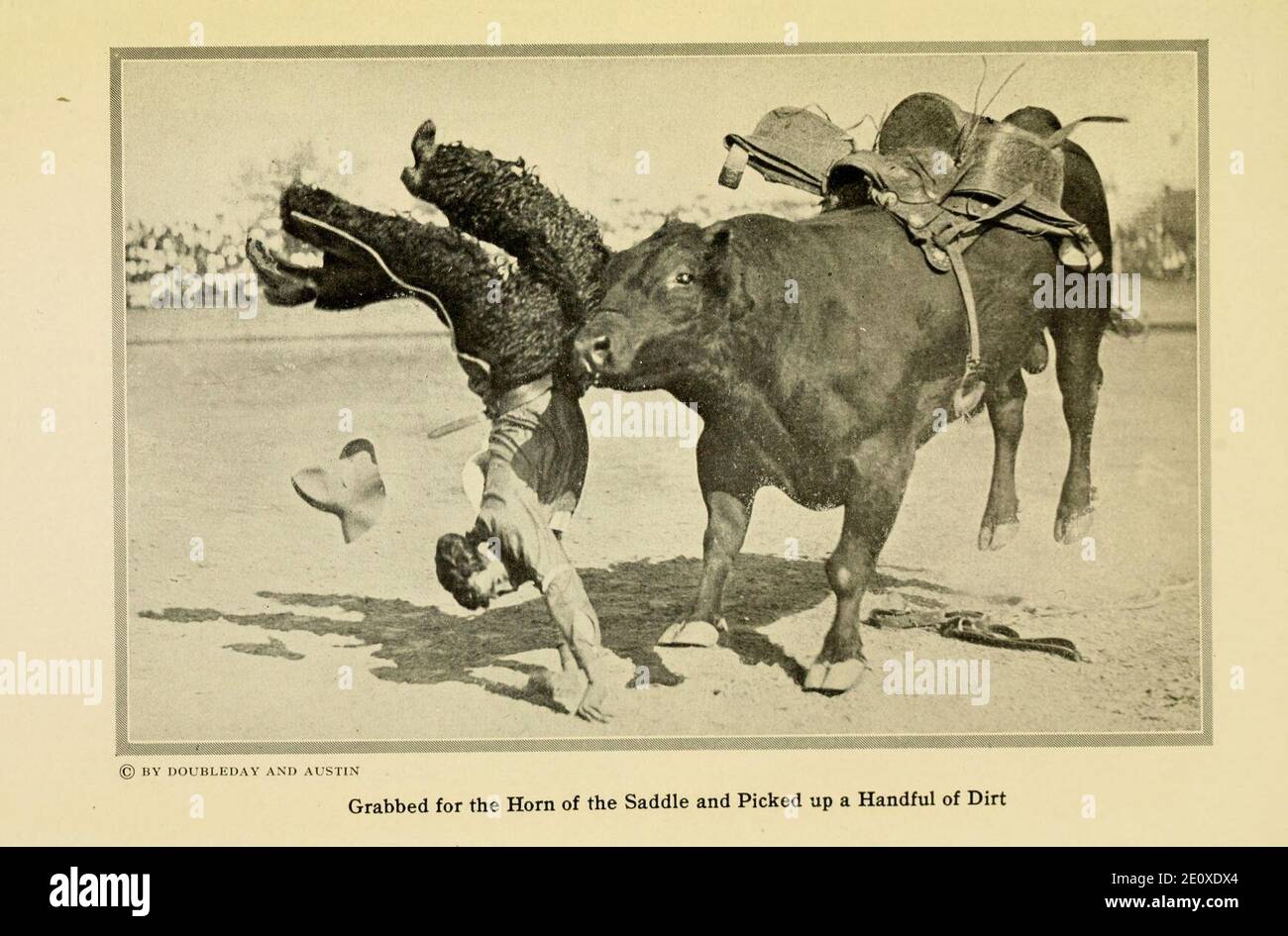 Let 'er buck Stock Photo - Alamy