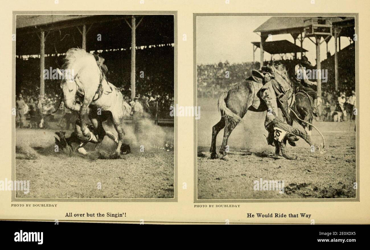 Let 'er buck Stock Photo - Alamy