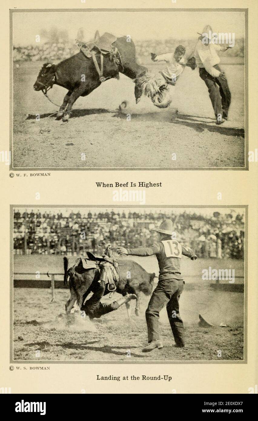 Let 'er buck Stock Photo - Alamy