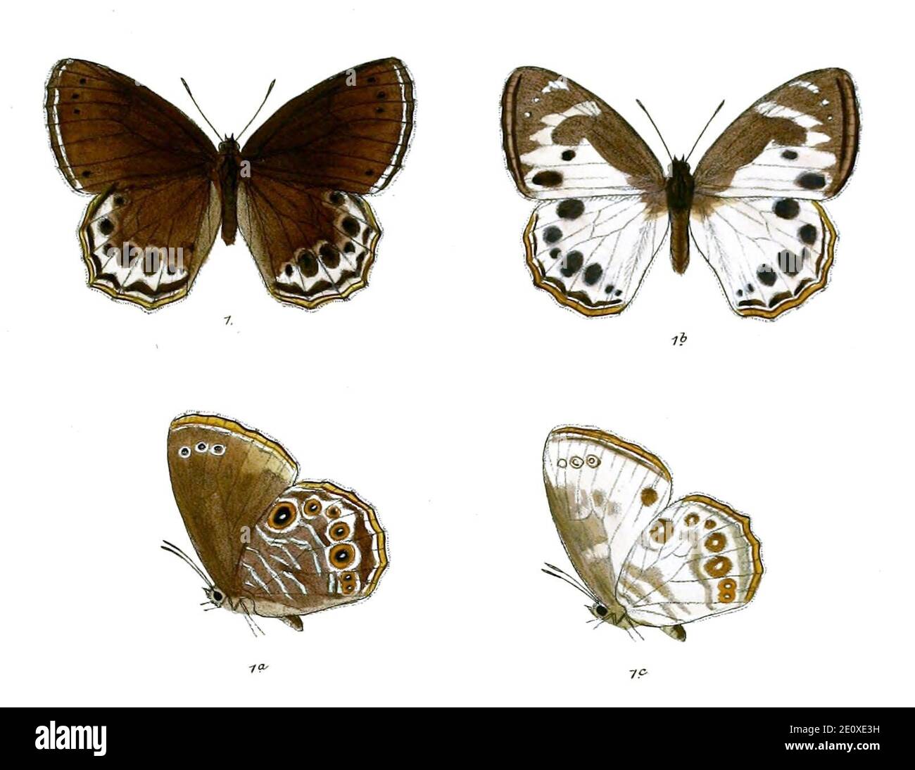 89 1 Cut Out Stock Images & Pictures - Alamy