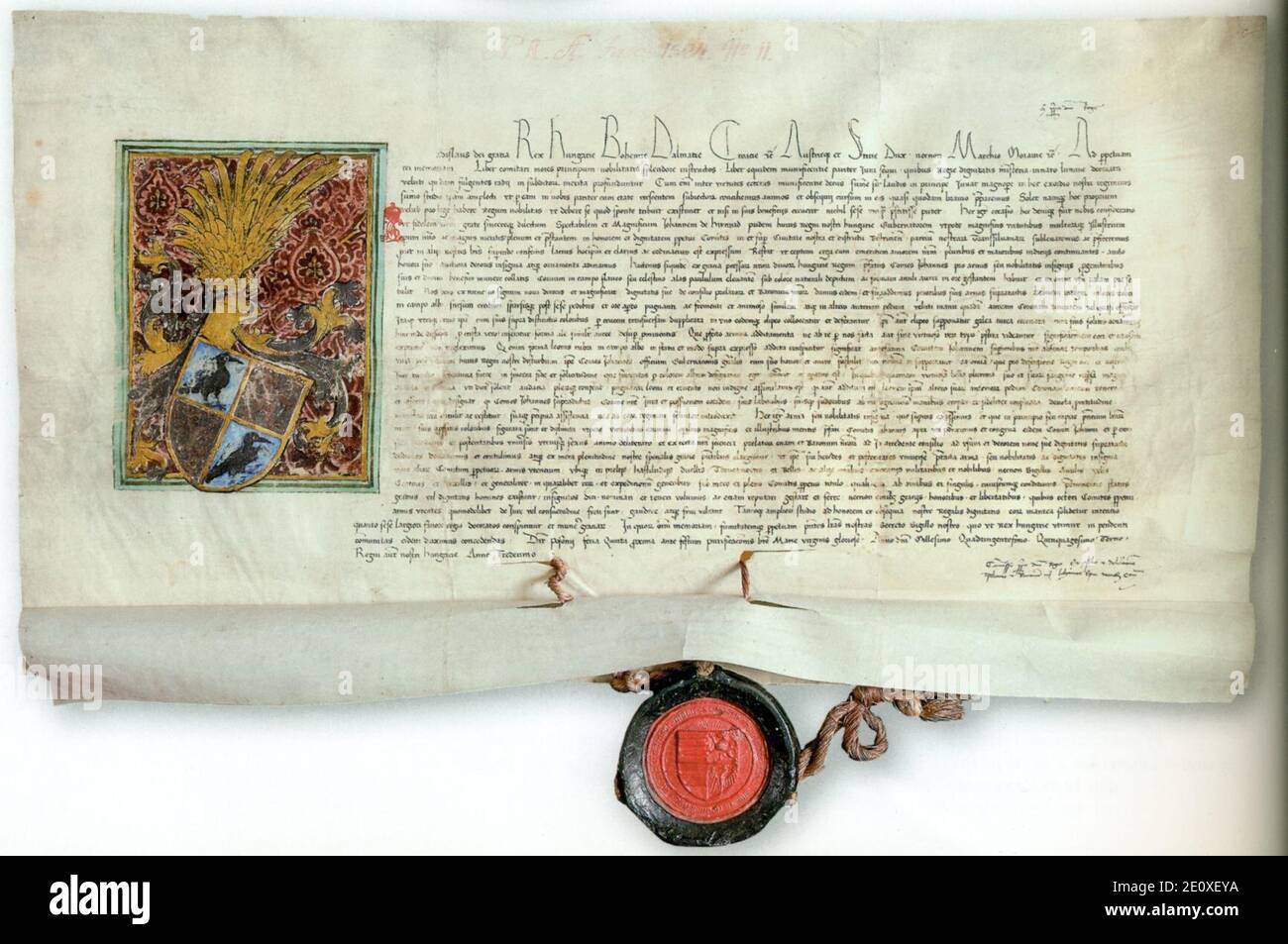 Letter patent of nobility for János Hunyadi from Ladislaus V Stock ...