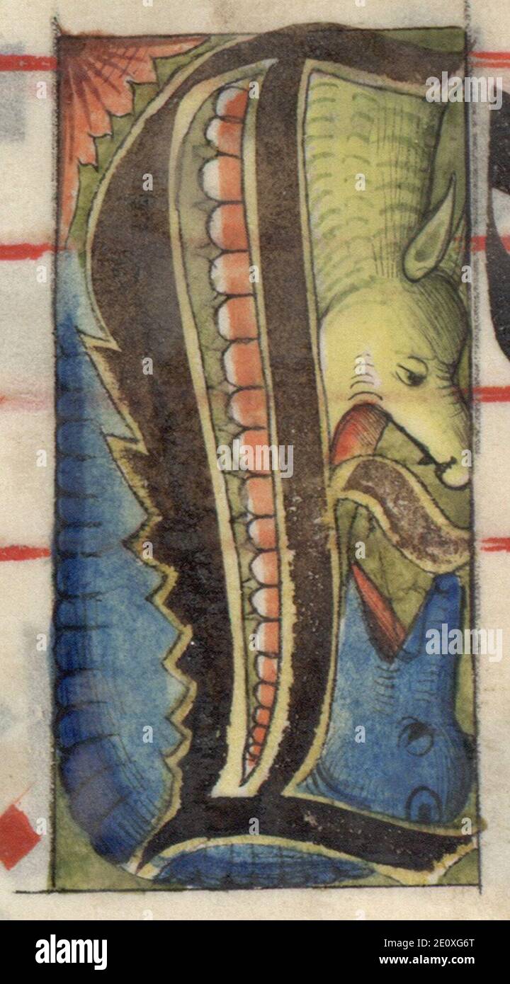 Lettrine C Ms. 74 Stock Photo - Alamy