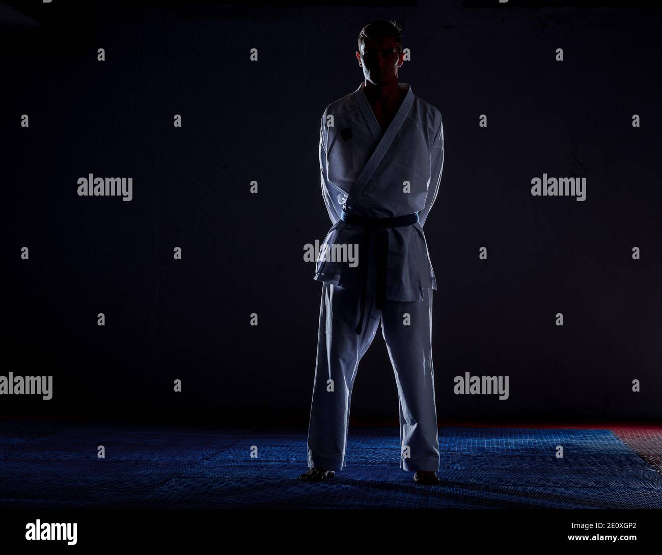 Karate man with black belt posing, champion of the world on black ...