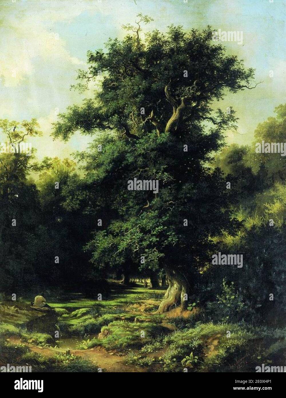 Lev Kamenev - Old Oak Stock Photo - Alamy