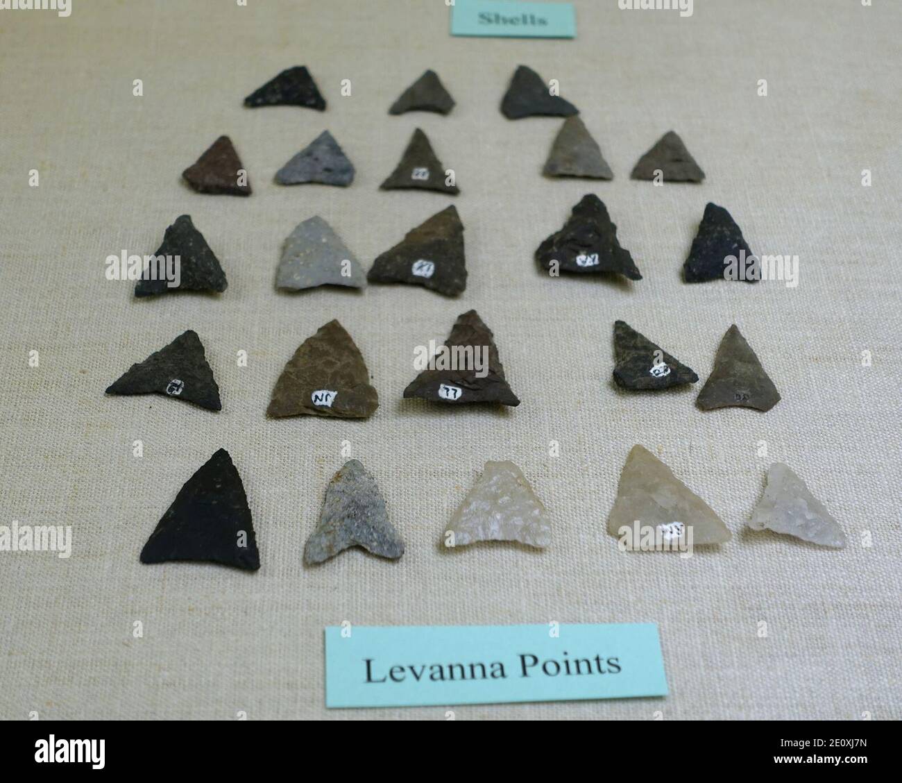 Levanna points - Plymouth Area Artifacts Stock Photo - Alamy