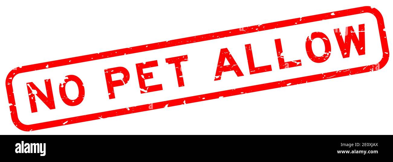 Grunge red no pet allow word square rubber seal stamp on white ...