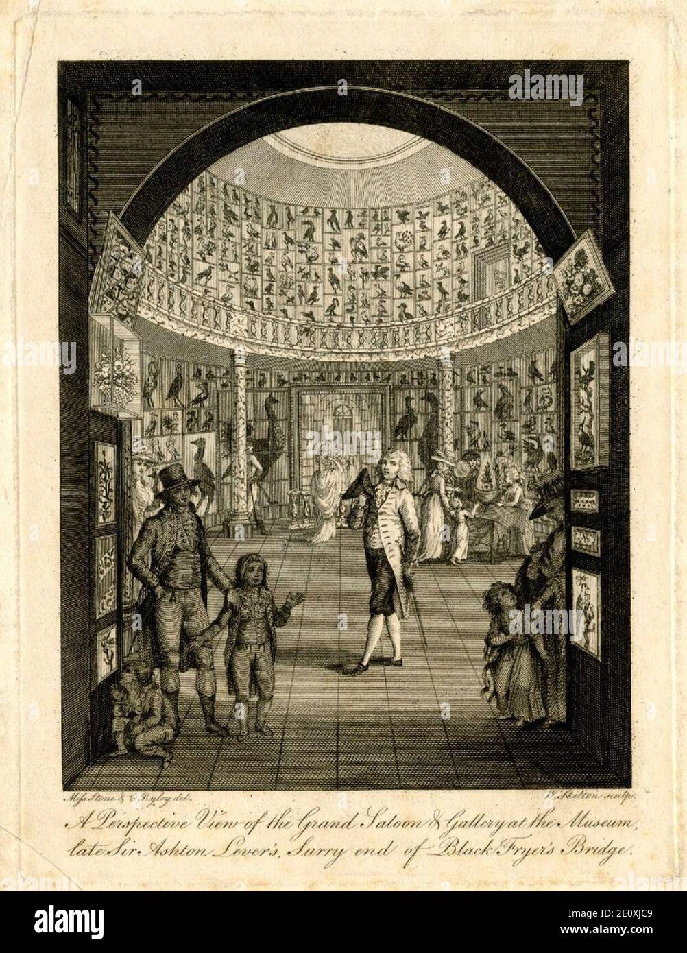 Leverian museum at the Rotunda Stock Photo - Alamy