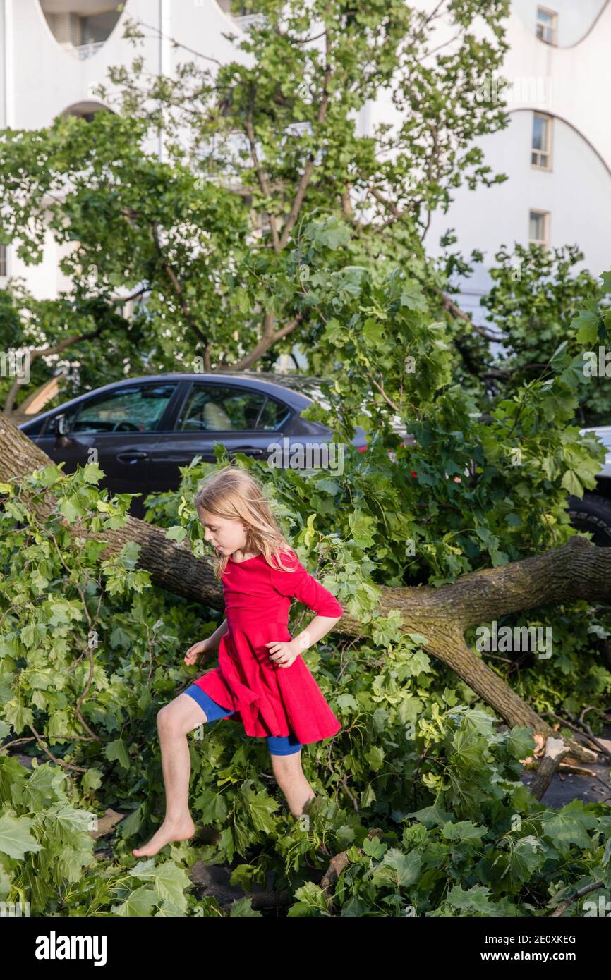 Girl in red dress fallen tree hi-res stock photography and images - Alamy
