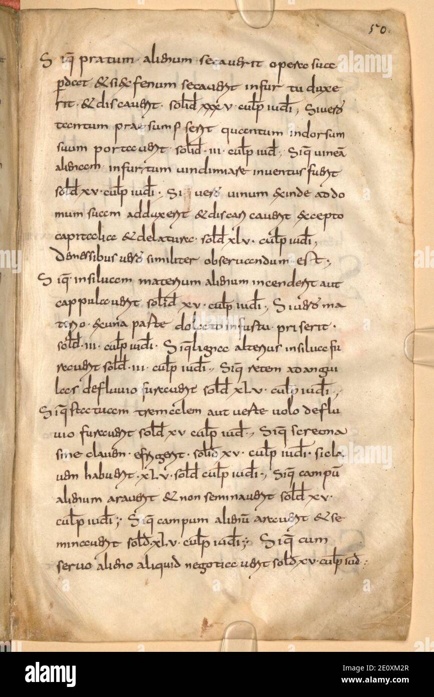 Lex Salica BSB 18 Stock Photo - Alamy