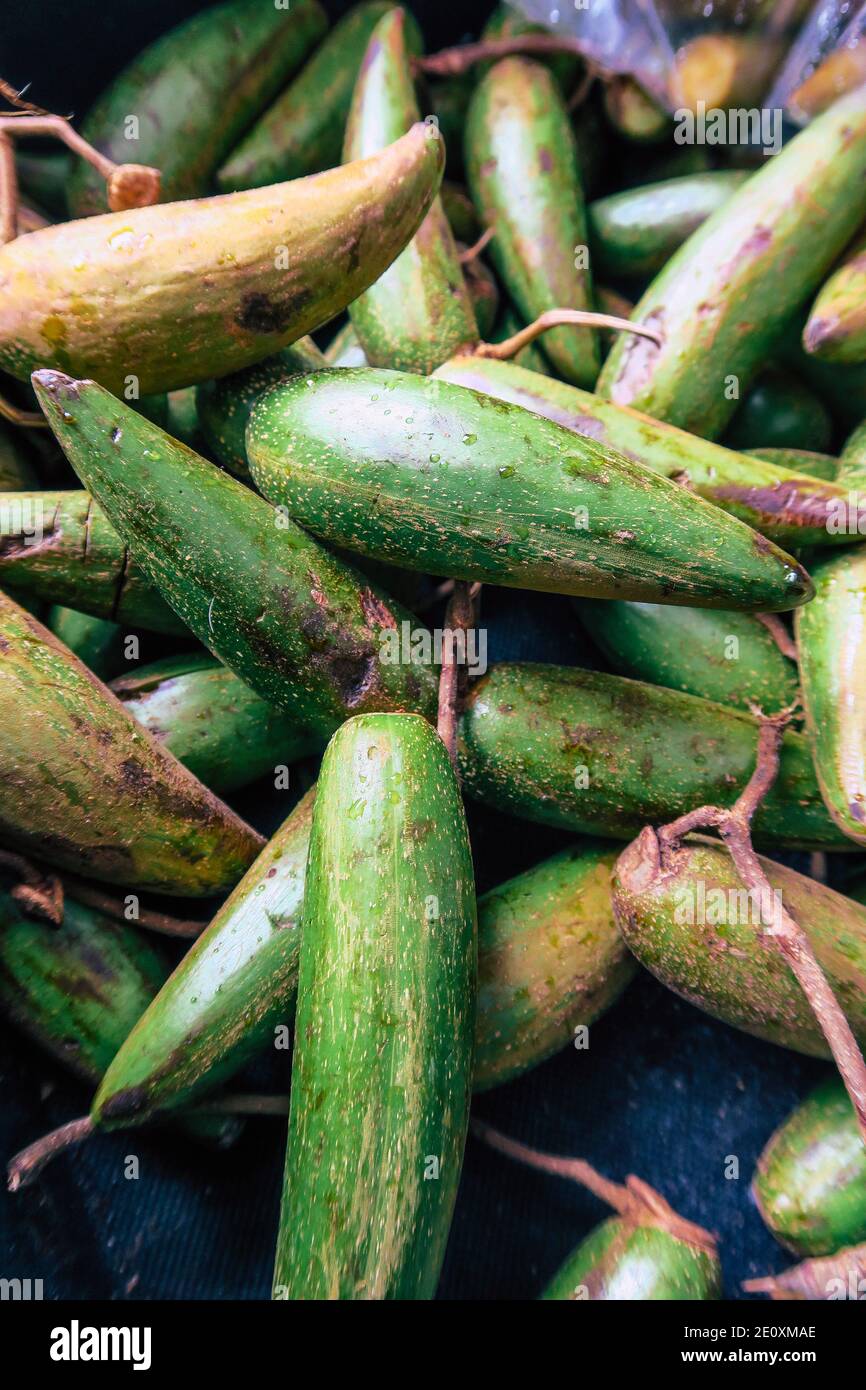 Fresh Dittoceras Maculatum Kerr Fruits, It is a rare fruit from Doi Phu ...