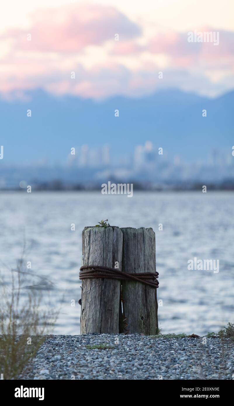 Two wooden logs stand tied together on the beach of the White Rock, BC ...