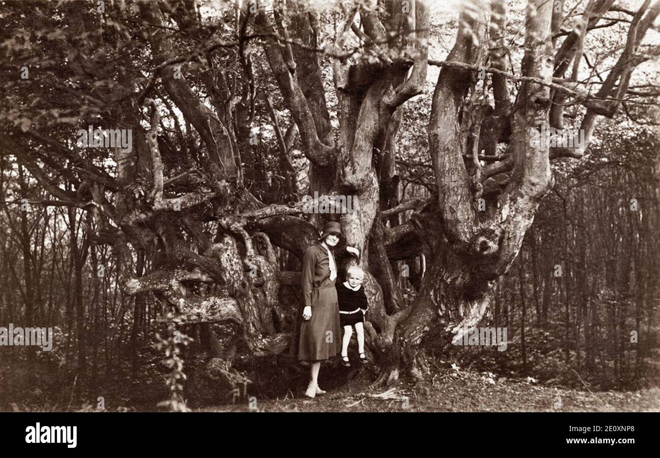 Habr hi-res stock photography and images - Alamy