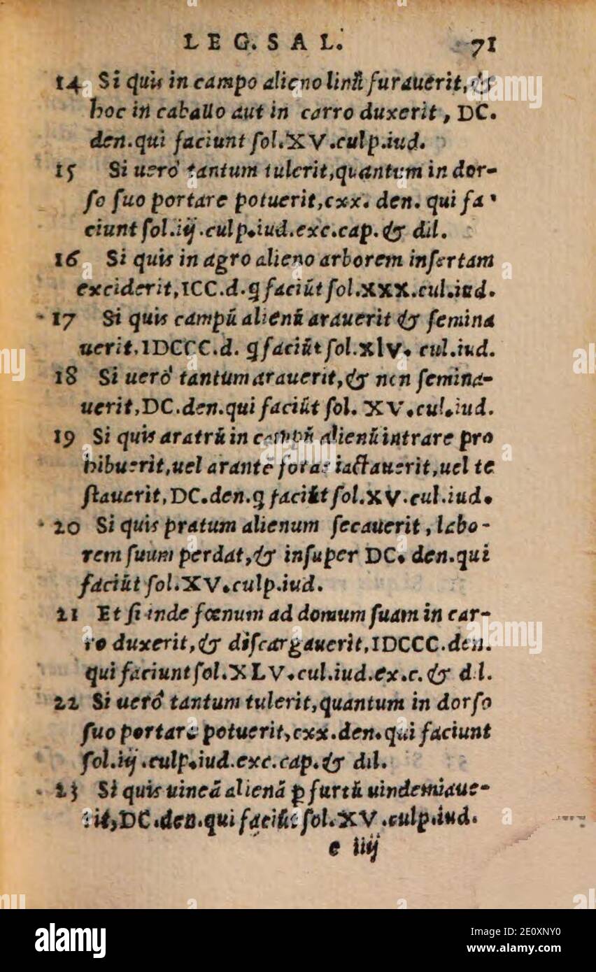 Libelli hi-res stock photography and images - Alamy