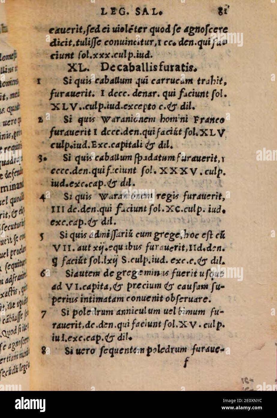 Libelli hi-res stock photography and images - Alamy