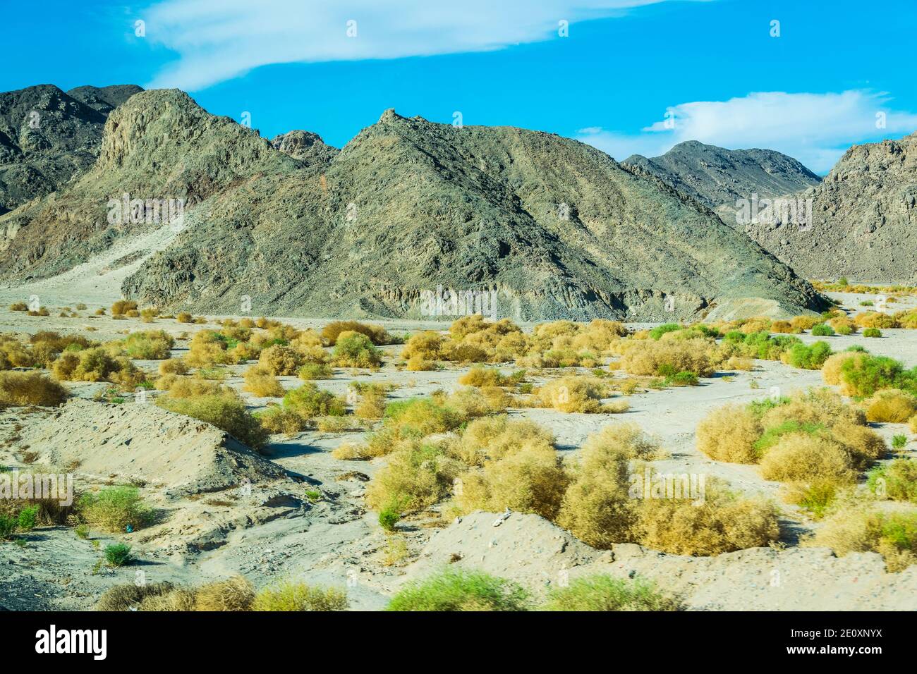 Rocks And Bushes In The White Desert In Egypt Before Blue Sky With Few ...