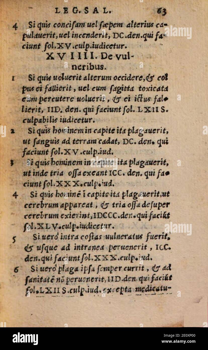 Libelli hi-res stock photography and images - Alamy