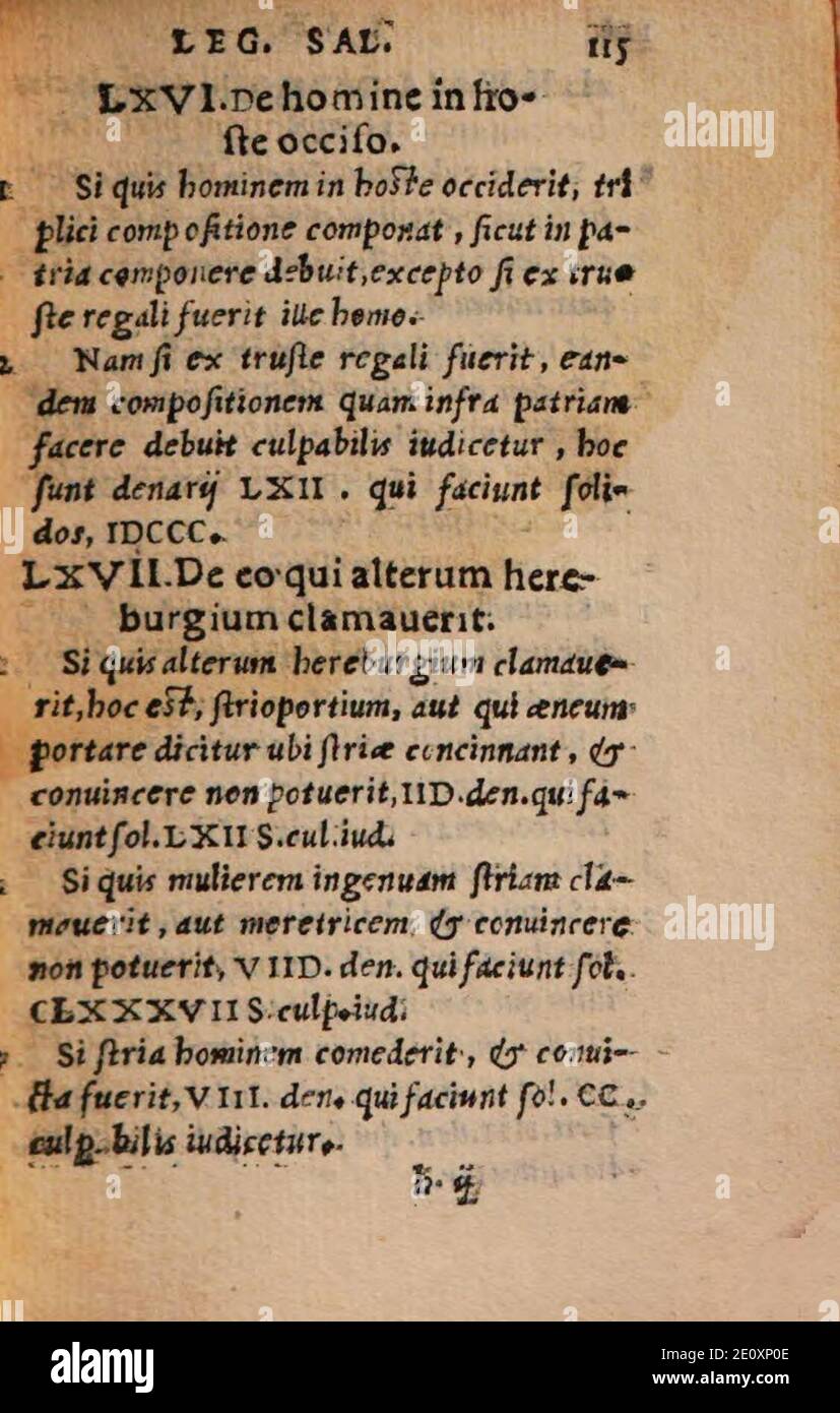 Libelli hi-res stock photography and images - Alamy