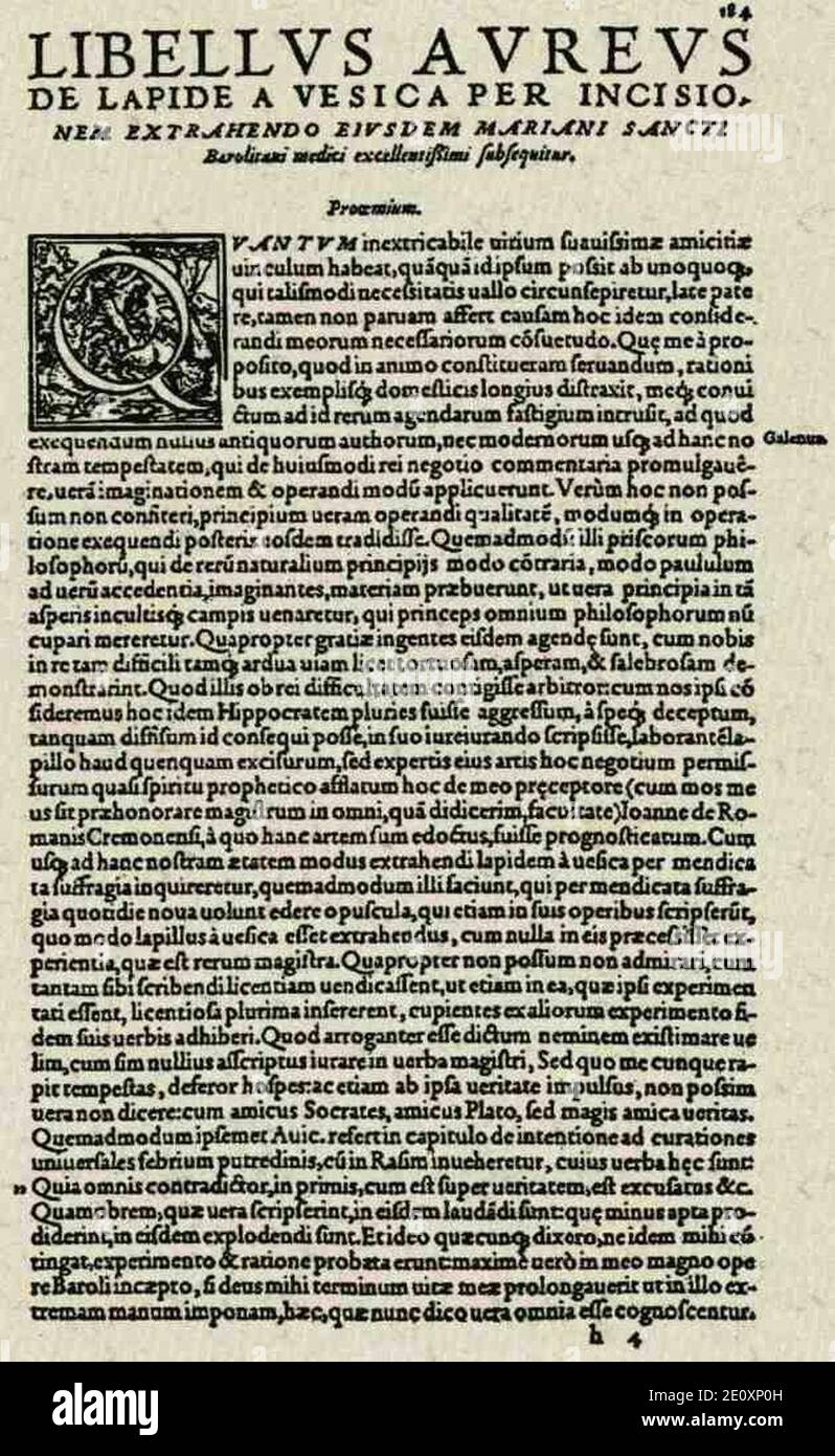 Libellus hi-res stock photography and images - Alamy