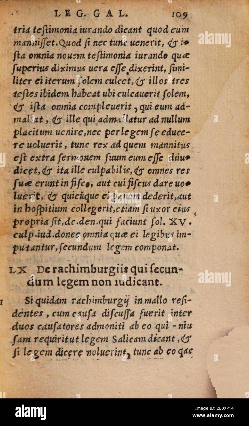 Libelli hi-res stock photography and images - Alamy