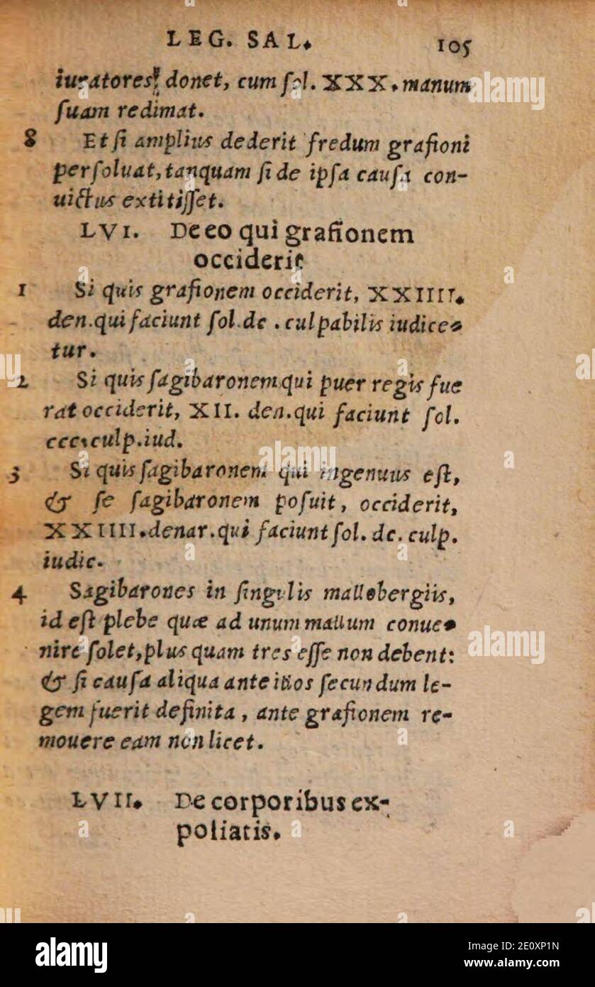 Libelli hi-res stock photography and images - Alamy