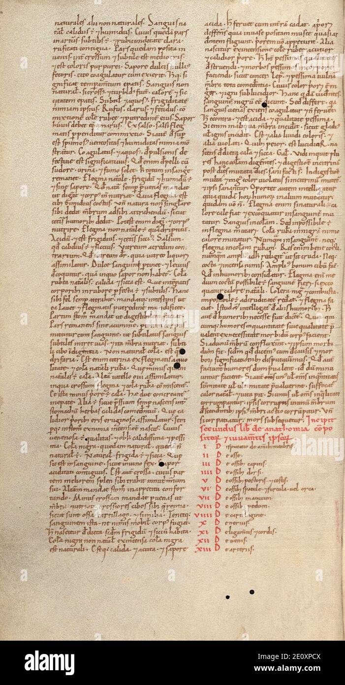 Liber pantegni - KB 73 J 6 - folio 006v Stock Photo - Alamy