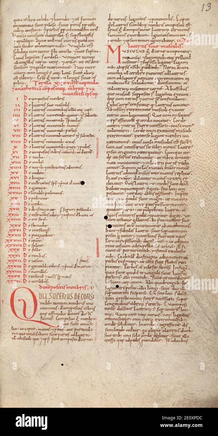 Liber pantegni - KB 73 J 6 - folio 013r Stock Photo - Alamy