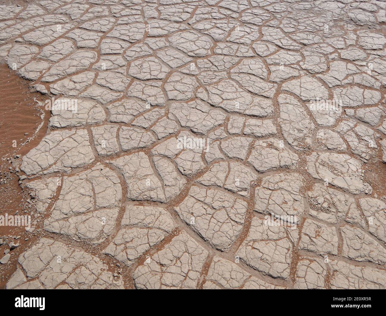 Salt Flats, Sossusvlei In The Namib Desert, Namibia Stock Photo - Alamy