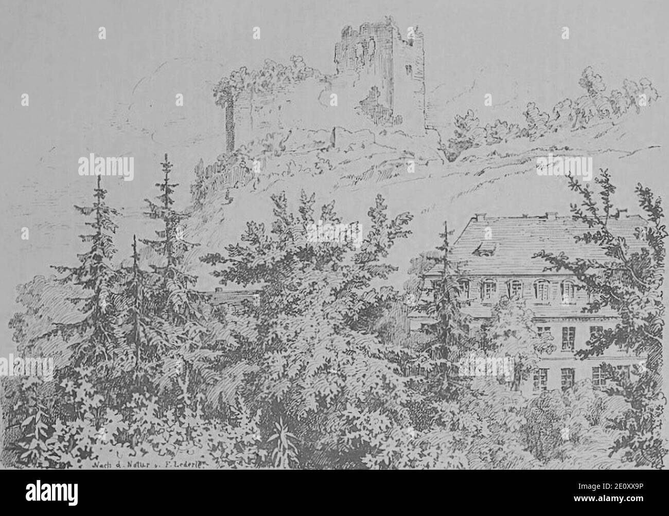 Lederle hi-res stock photography and images - Alamy