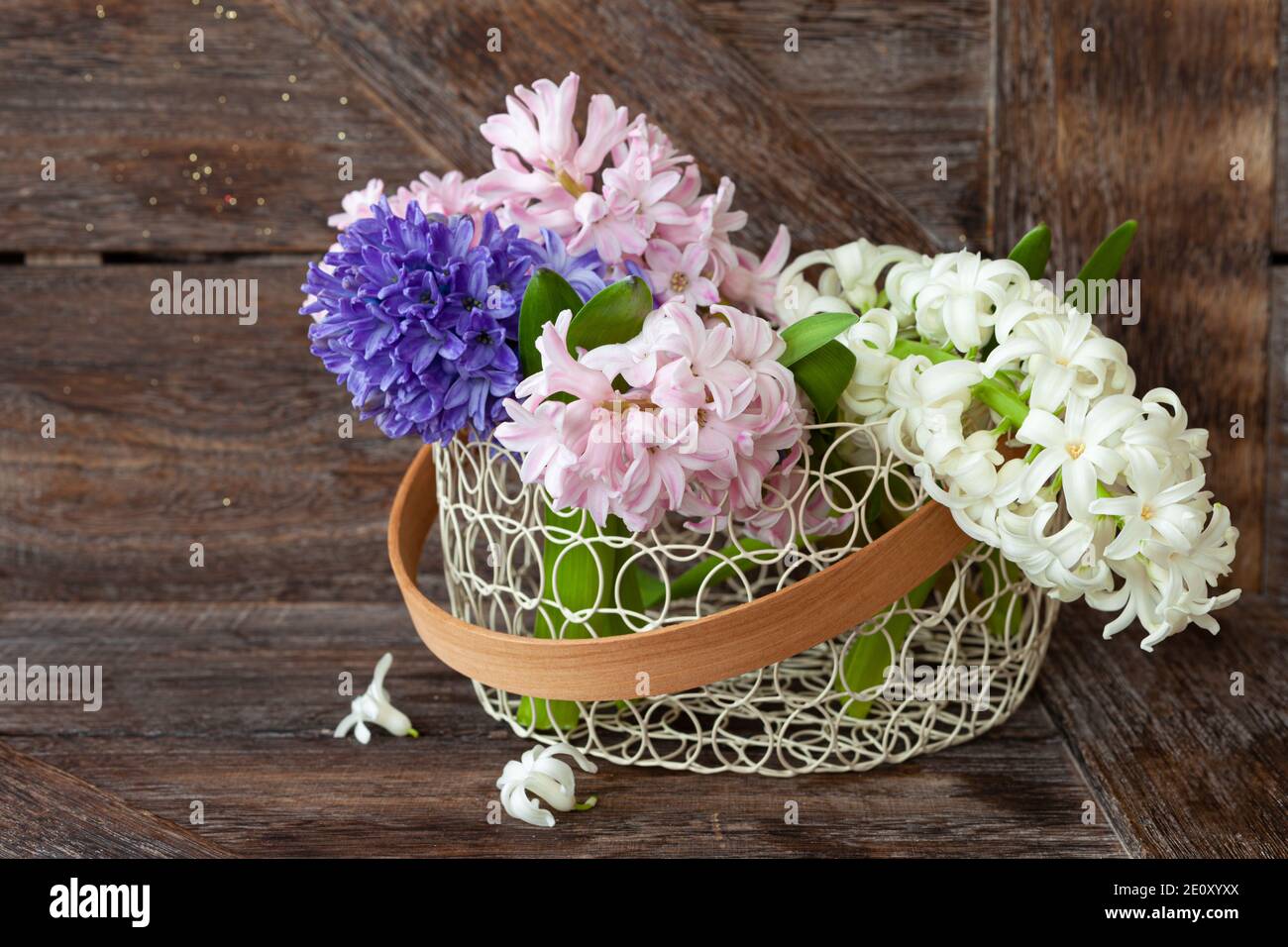 Fresh Spring Flowers Stock Photo - Alamy