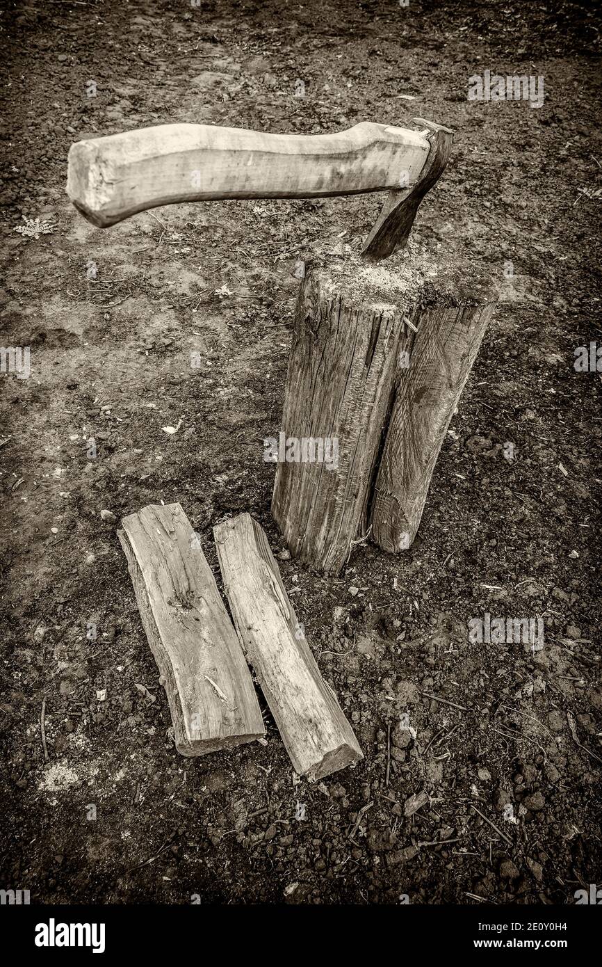 Axed tree hi-res stock photography and images - Alamy