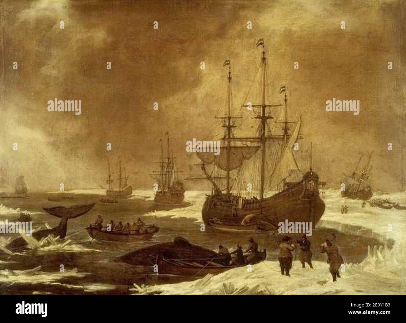 Lieve Verschuier - Walvisvangst door een Rotterdamse walvisvaarder ...