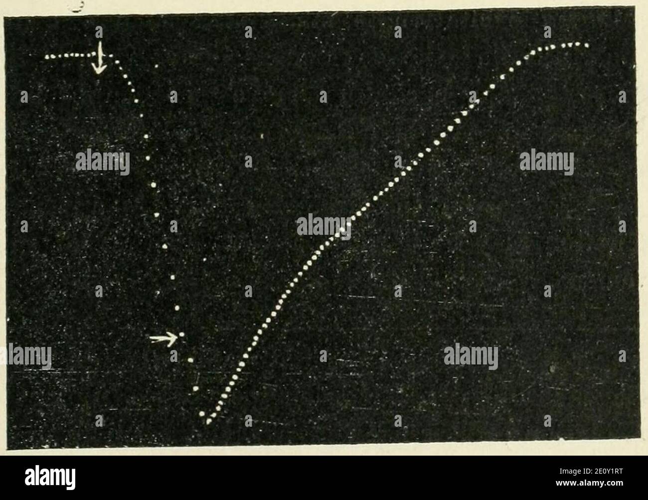 Life Movements in Plants Vol 1 Fig 13 Stock Photo - Alamy