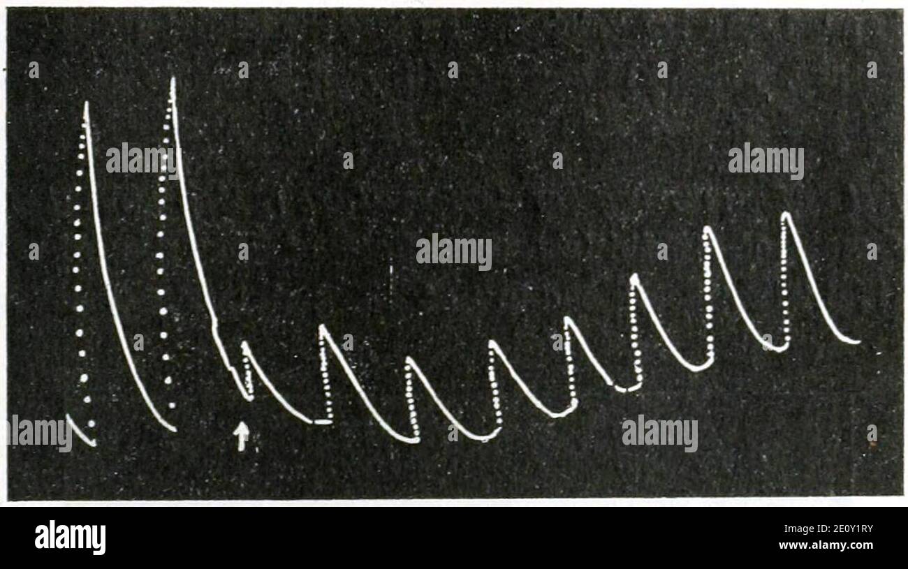 Life Movements in Plants Vol 1 Fig 19 Stock Photo - Alamy