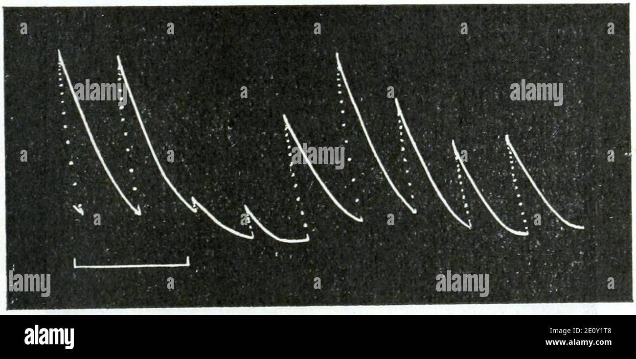 Life Movements in Plants Vol 1 Fig 17 Stock Photo - Alamy