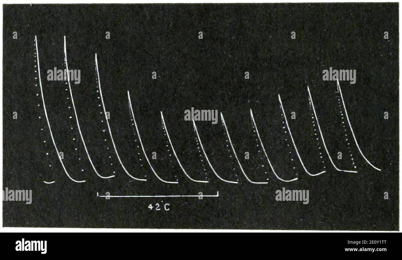 Life Movements in Plants Vol 1 Fig 22 Stock Photo - Alamy