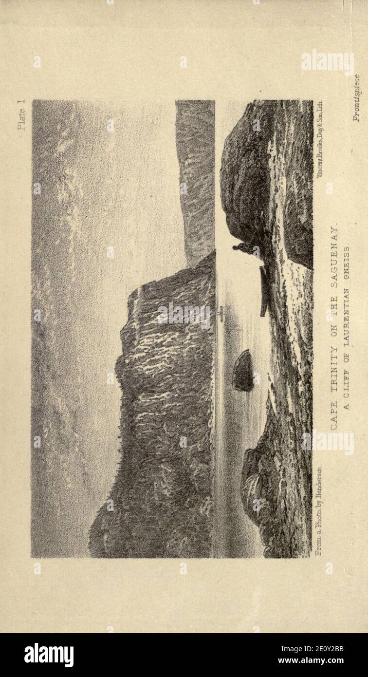 Life's dawn on earth Stock Photo - Alamy