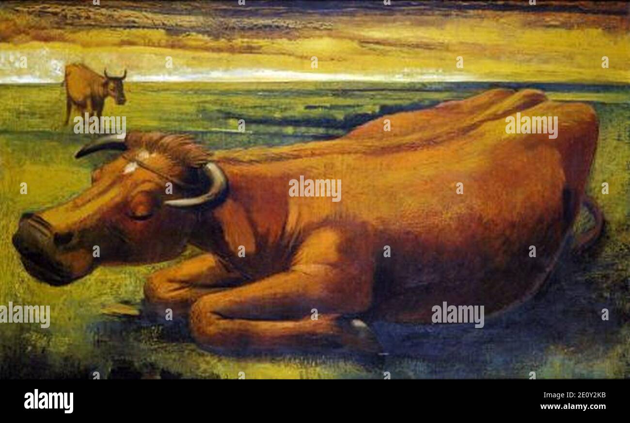 Koe archive hi-res stock photography and images - Alamy