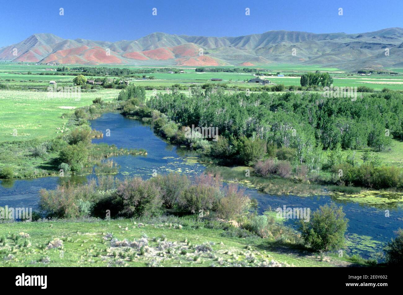 The Nature Conservancy's Silver Creek Preserve, Idaho Stock Photo - Alamy