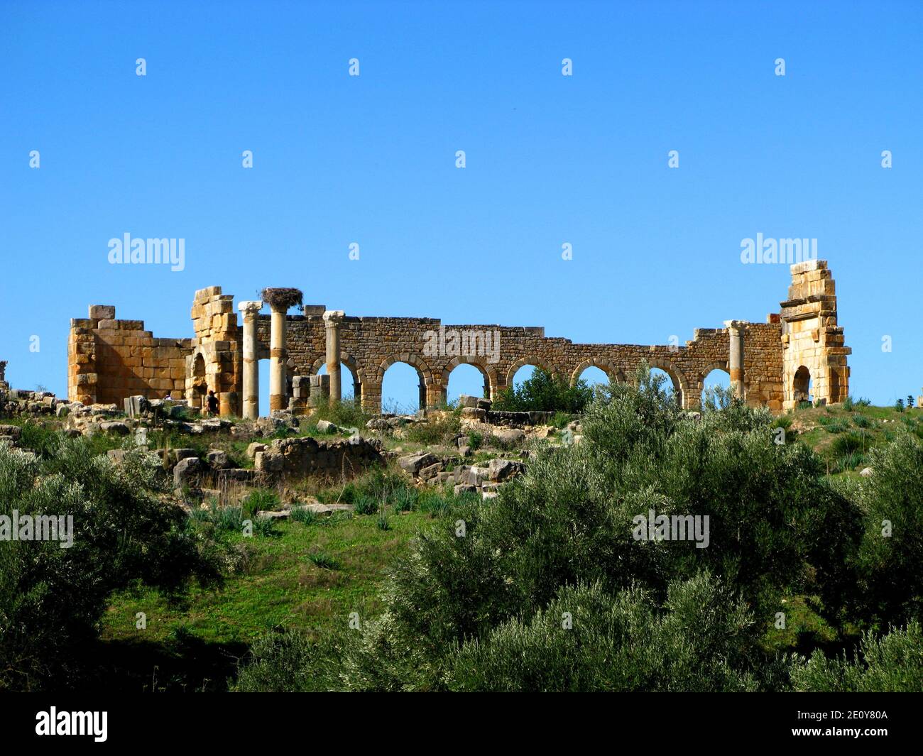 Ancient roman ruins in Volubilis, Morocco, Nord Africa Stock Photo - Alamy