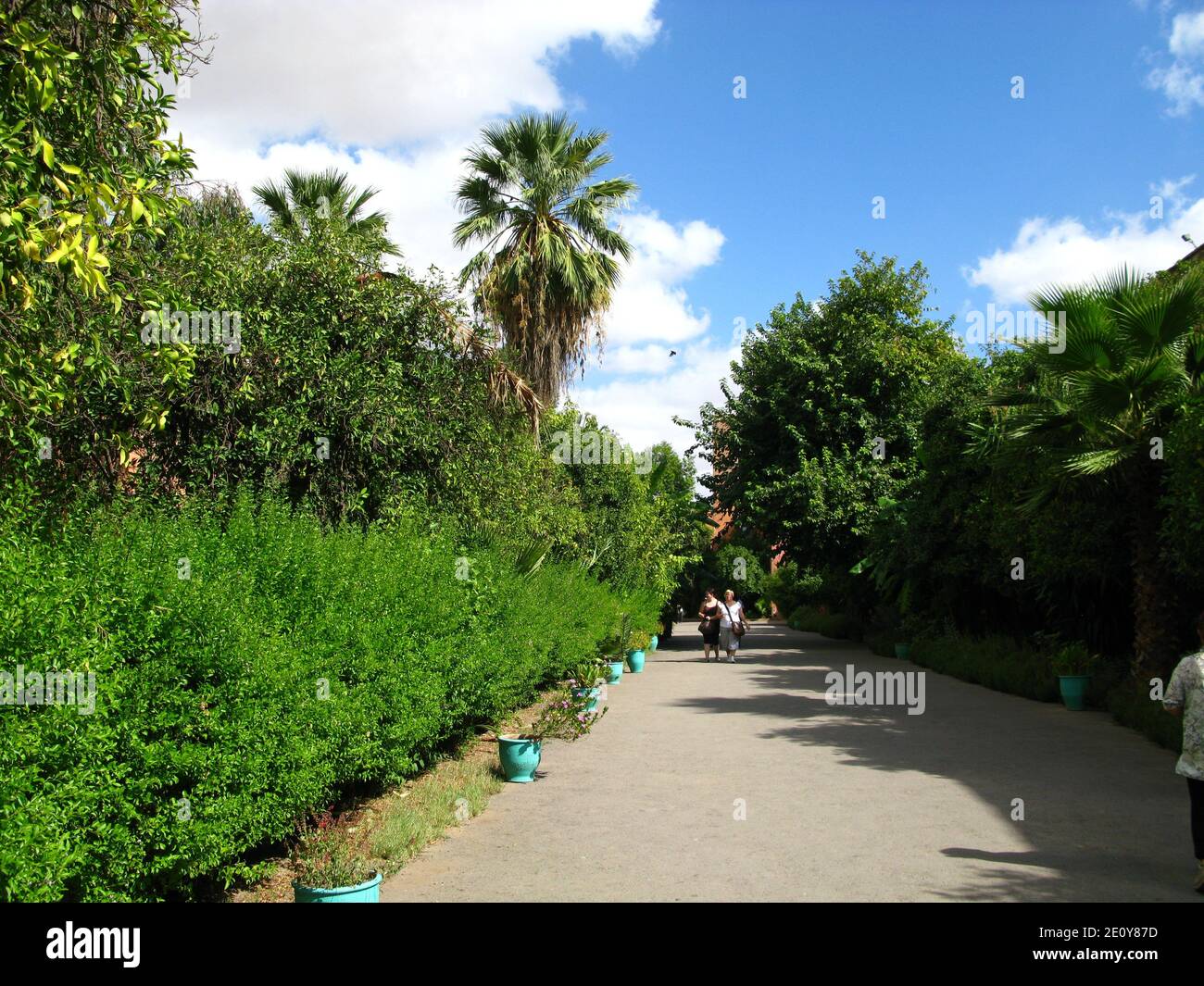 The park in Marrakech, Morocco Stock Photo - Alamy