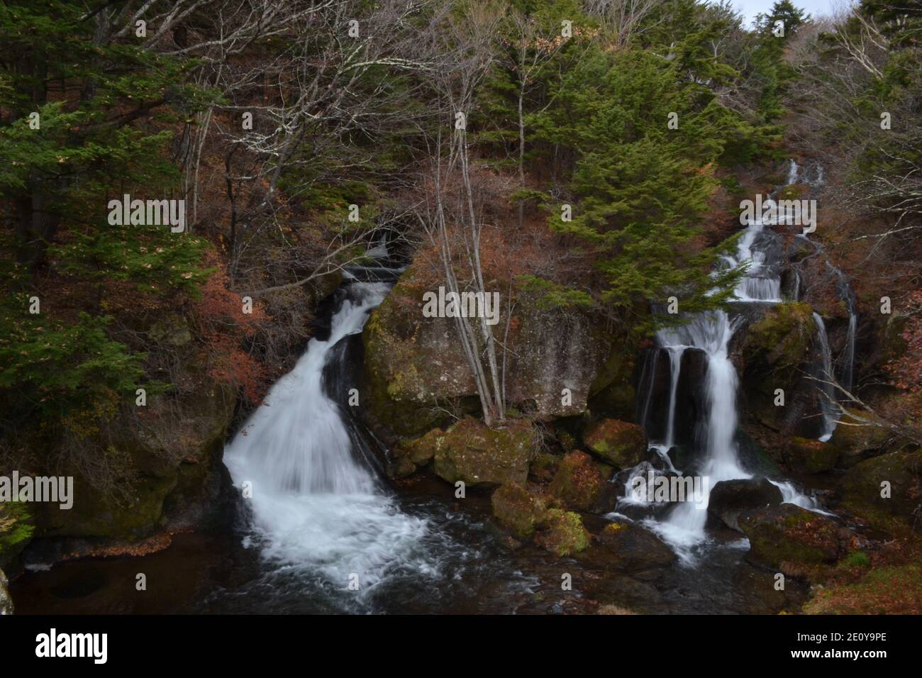 Autumn in Nikko, Japan Stock Photo - Alamy