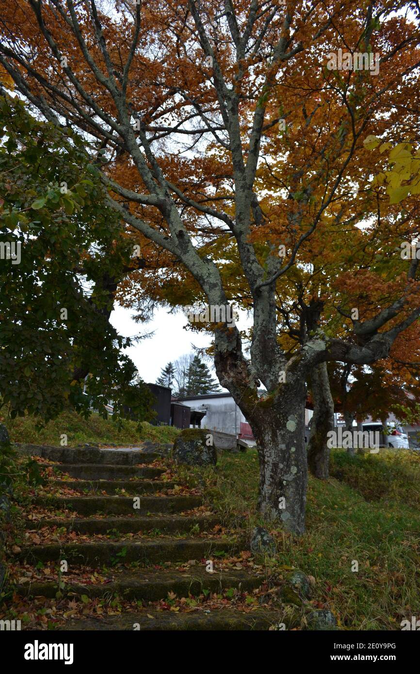 Nikkojapan hi-res stock photography and images - Alamy