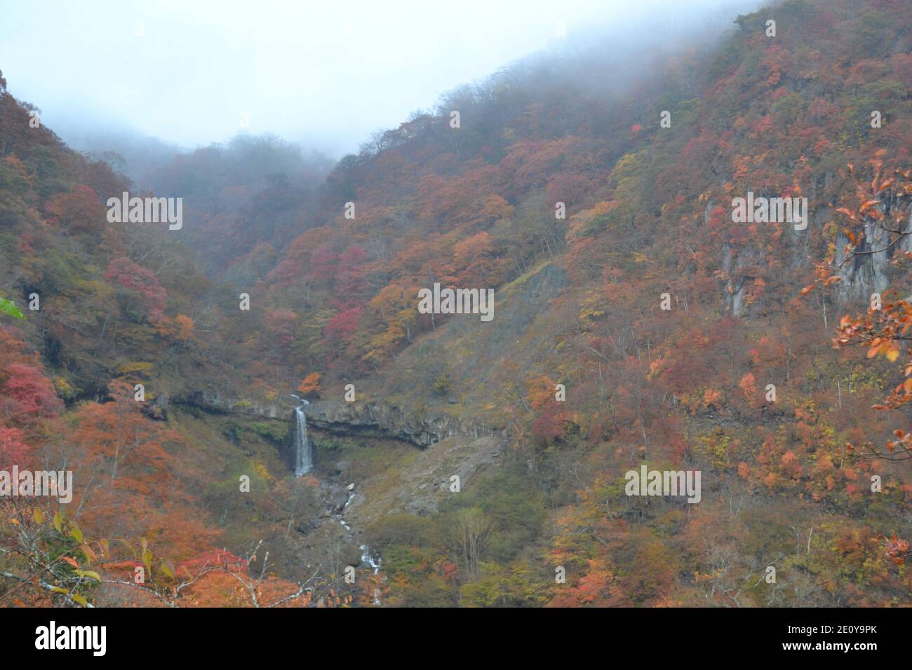Autumn in Nikko, Japan Stock Photo - Alamy