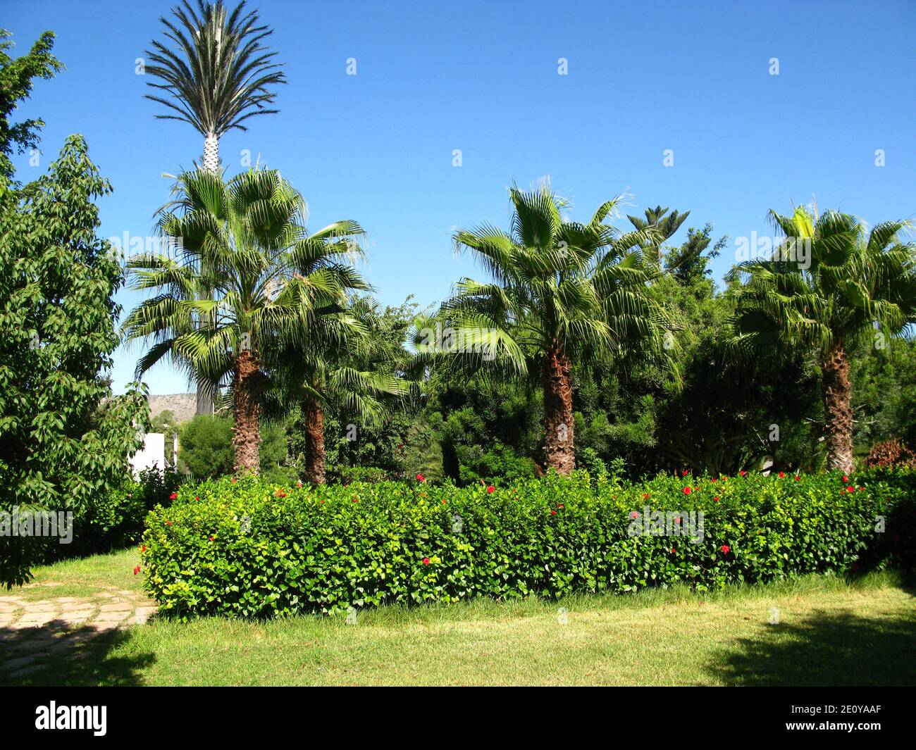 Agadir city center, morocco hi-res stock photography and images - Alamy