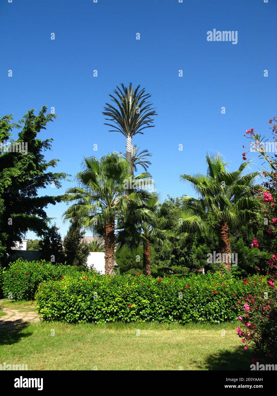 Agadir city center, morocco hi-res stock photography and images - Alamy
