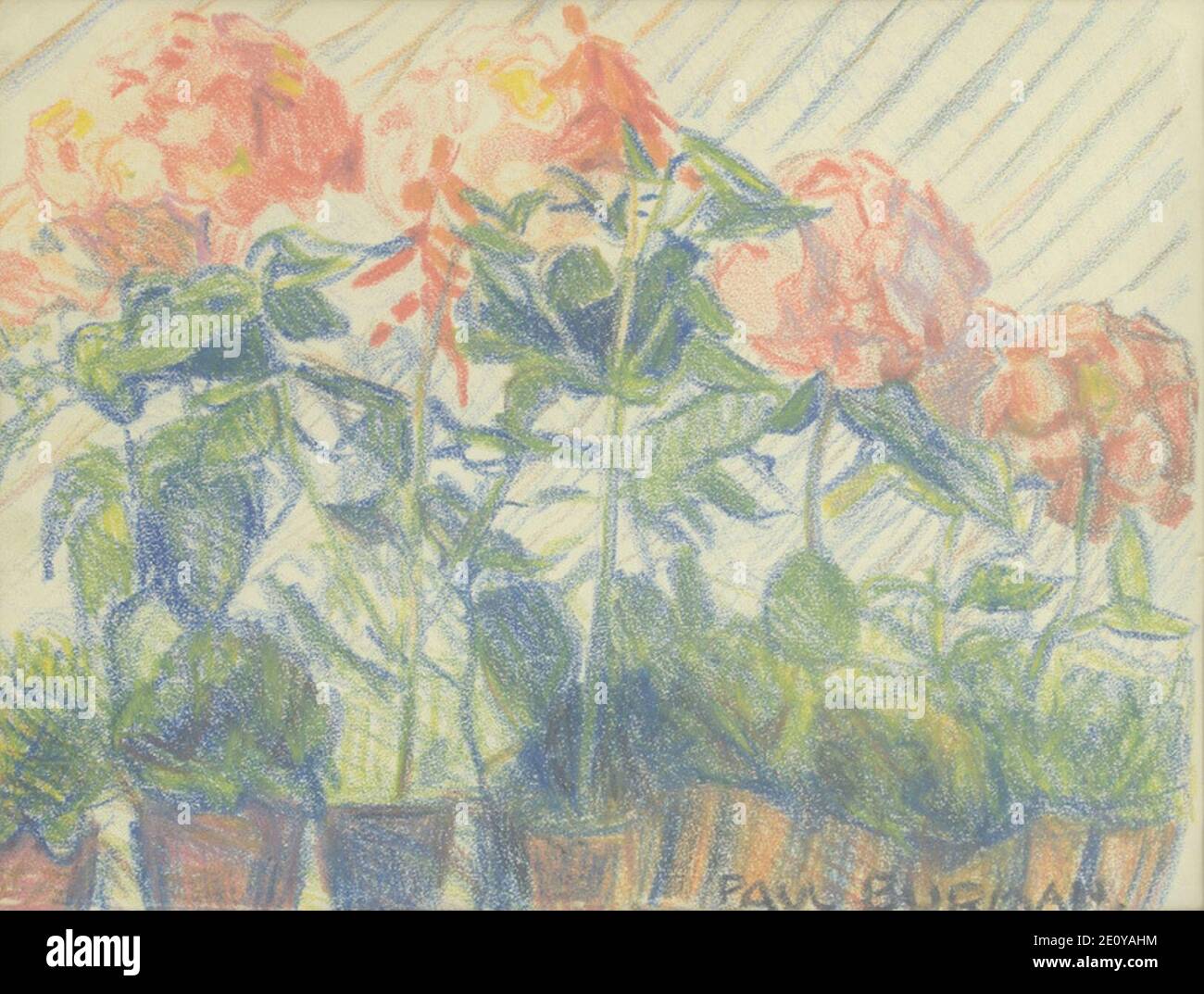 Visand hi-res stock photography and images - Alamy