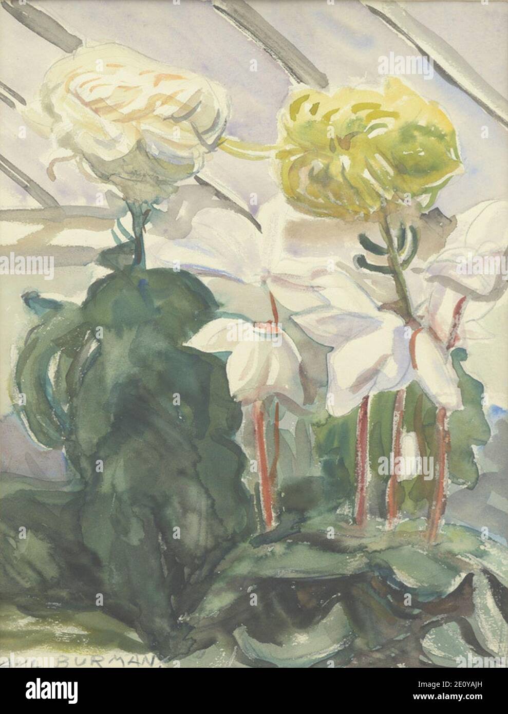 Paul burman hi-res stock photography and images - Alamy