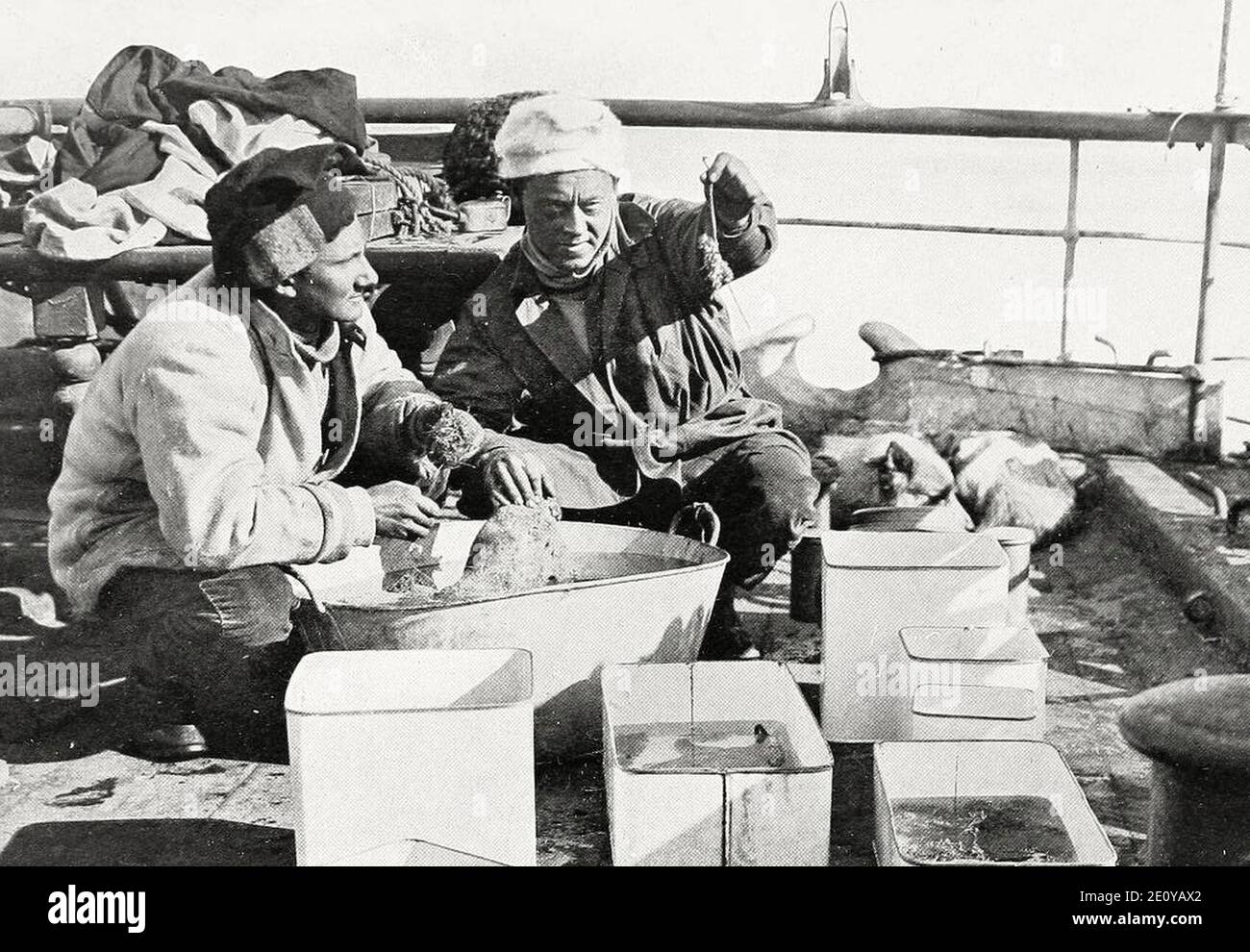 Dr lillie hi-res stock photography and images - Alamy